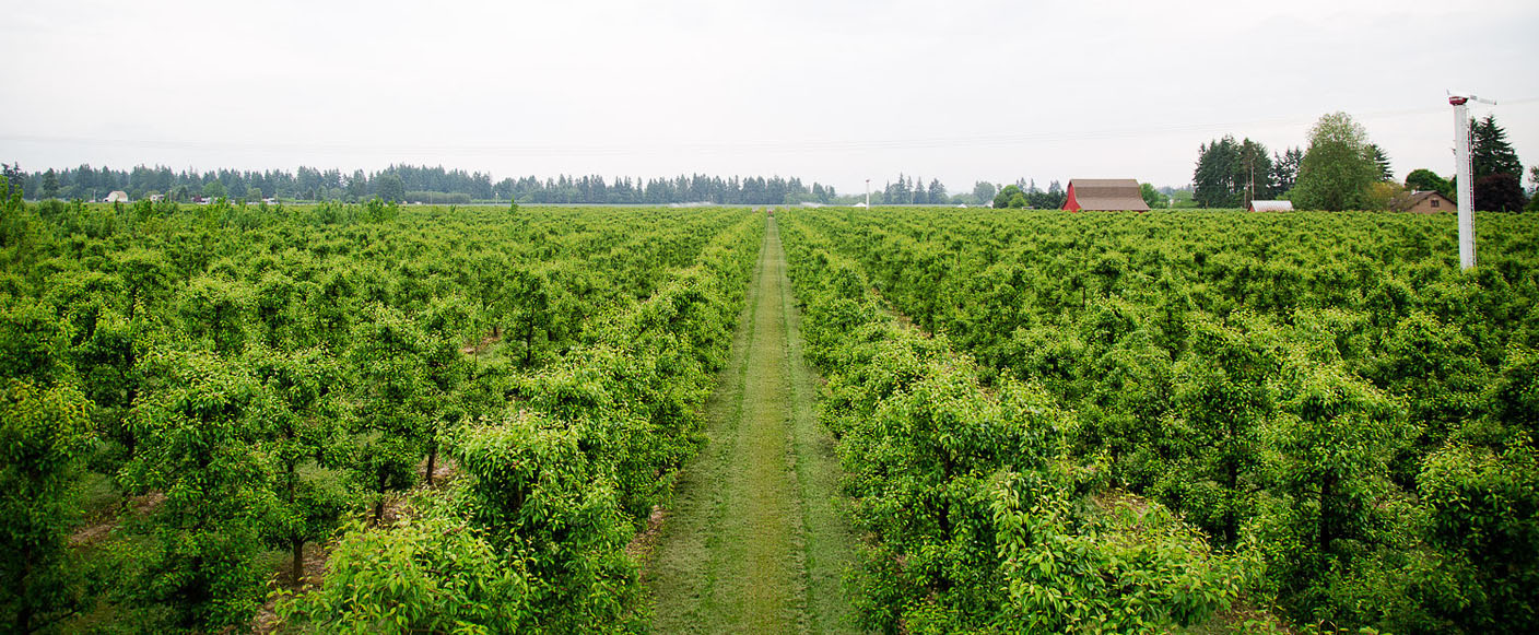 Discover Oregon's Countryside with the New Farm Loop Website!