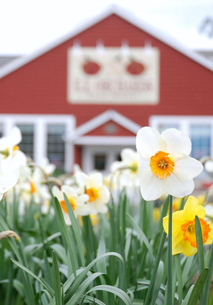 Visit Oregon Farms - Guidelines & What's in Season